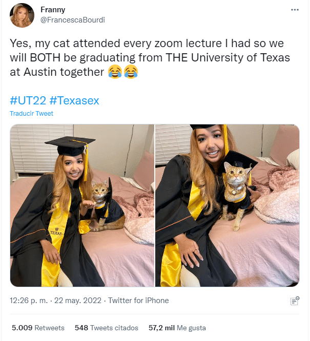 ¡Gatita se gradúa! Conoce a Suki, la felina universitaria | Generación ...