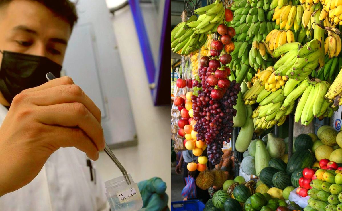 ¿Tus frutas y hortalizas se oxidan? UAM patenta recubrimiento para ...