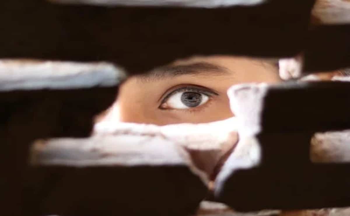 UNAM explica qué son las parafilias | Generación Universitaria - EL ...