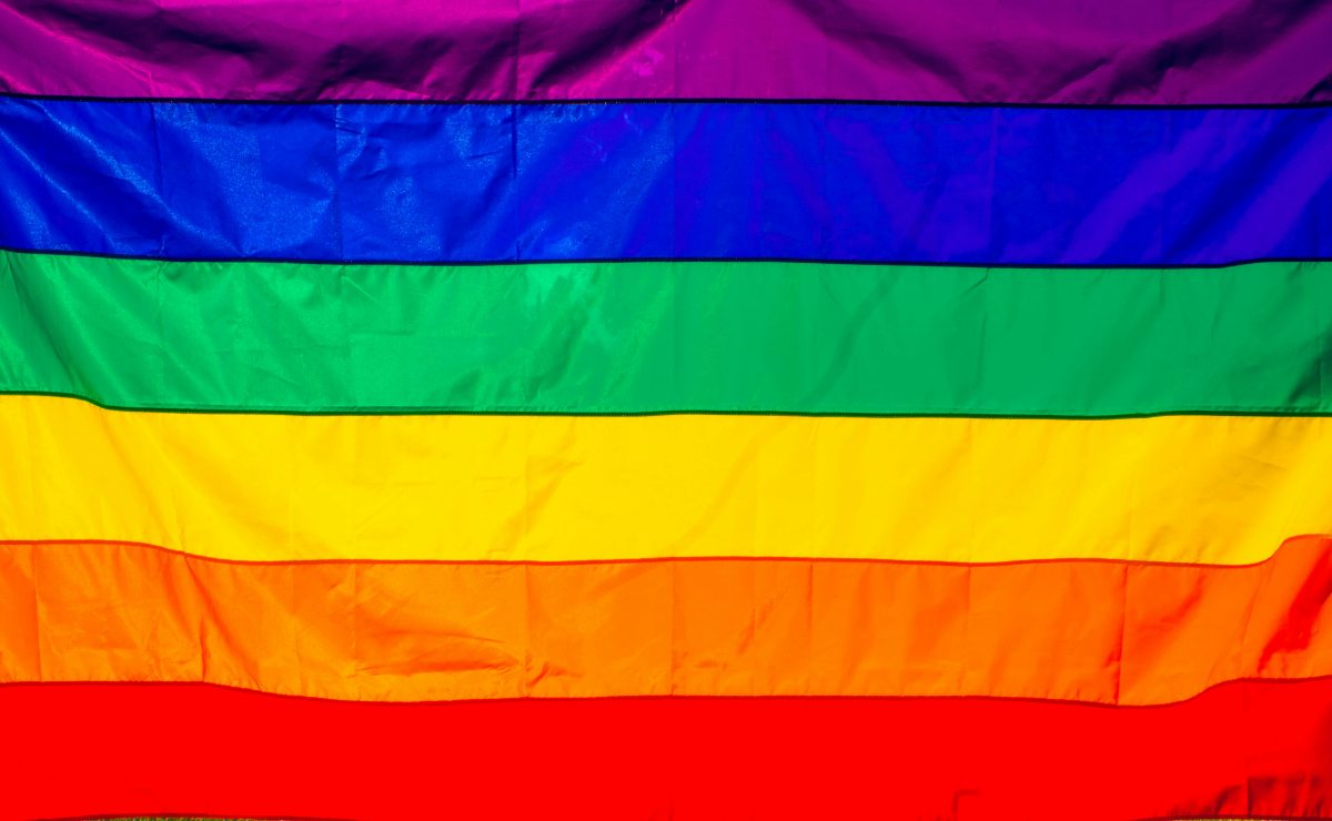 ¿Qué significan los colores del mes del orgullo LGBT+? | Generación Universitaria - EL UNIVERSAL