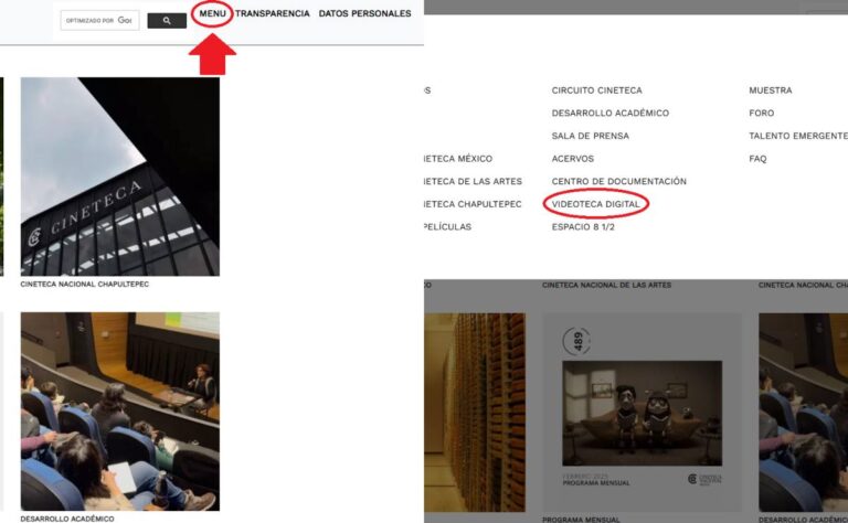 ¿Cómo ver películas gratis en la Cineteca Nacional? | Generación ...