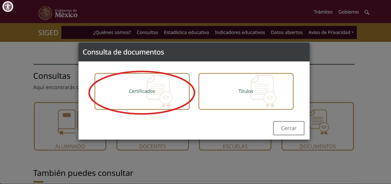 SEP: descarga así tu certificado de educación media superior ...